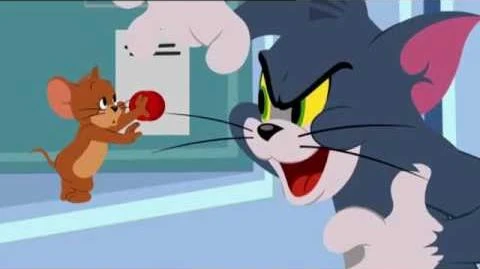 Video - Fight Flight The Tom and Jerry Show Cartoon World | Tom and ...