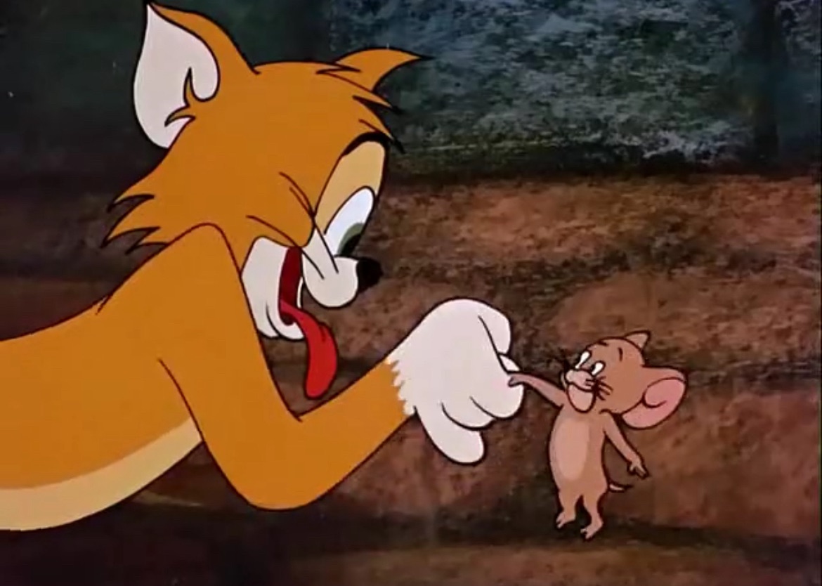 Orange Kitten Tom And Jerry Wiki Fandom Powered By Wikia