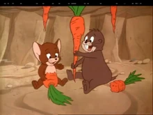 Gopher (Gopher it, Tom) | Tom and Jerry Wiki | Fandom