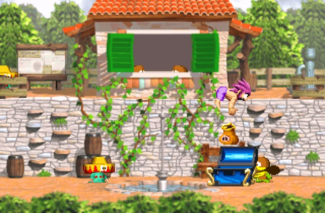 Evil Pig Bags | Tomba! Wiki | Fandom