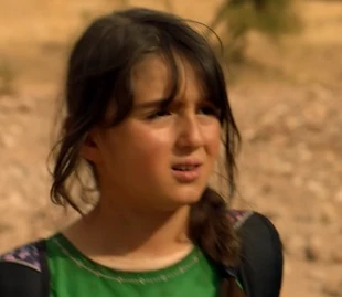 Rama Suleiman | Jack Ryan Wiki | Fandom