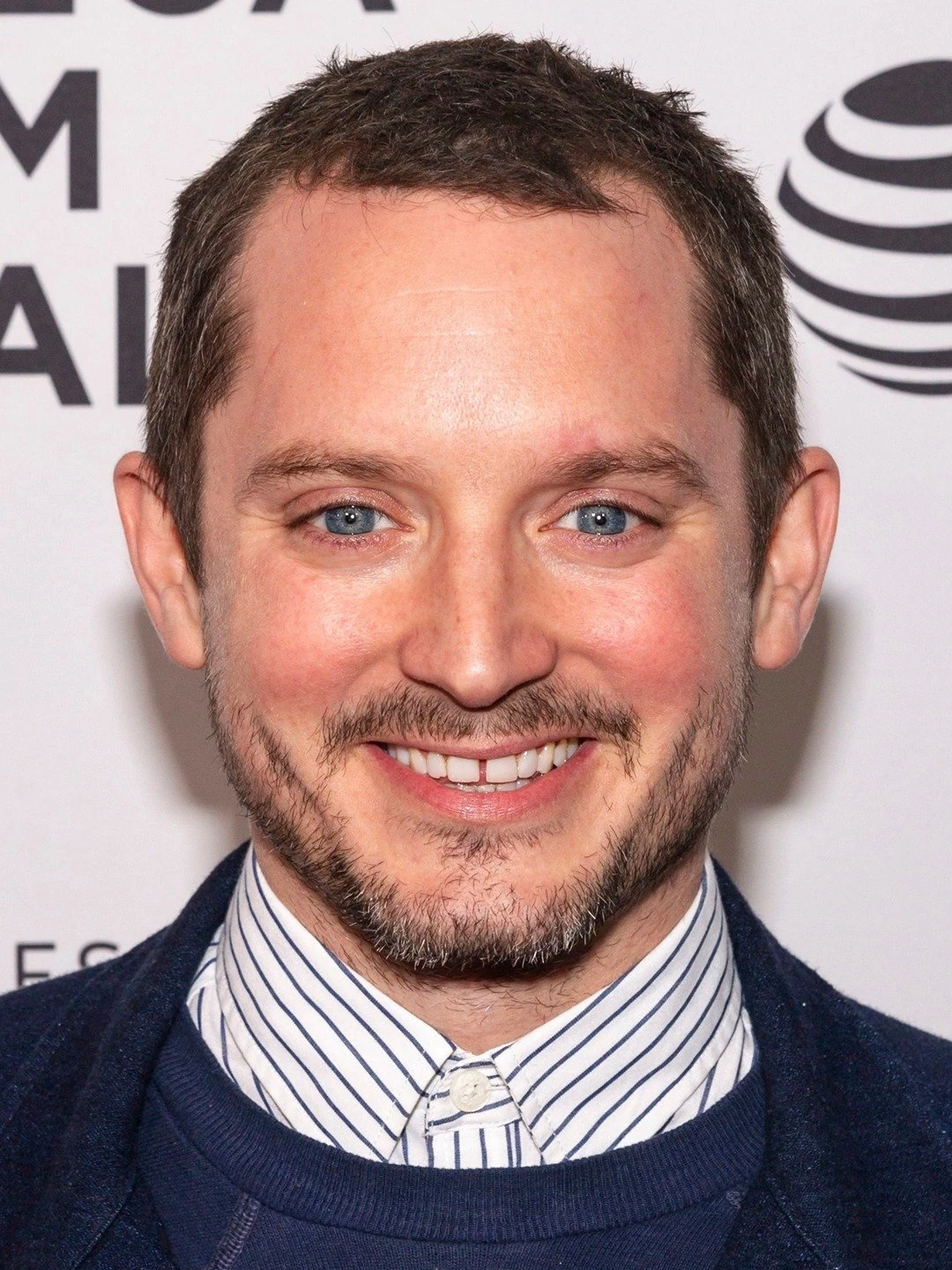 Elijah Wood | Over the Garden Wall Wiki | Fandom