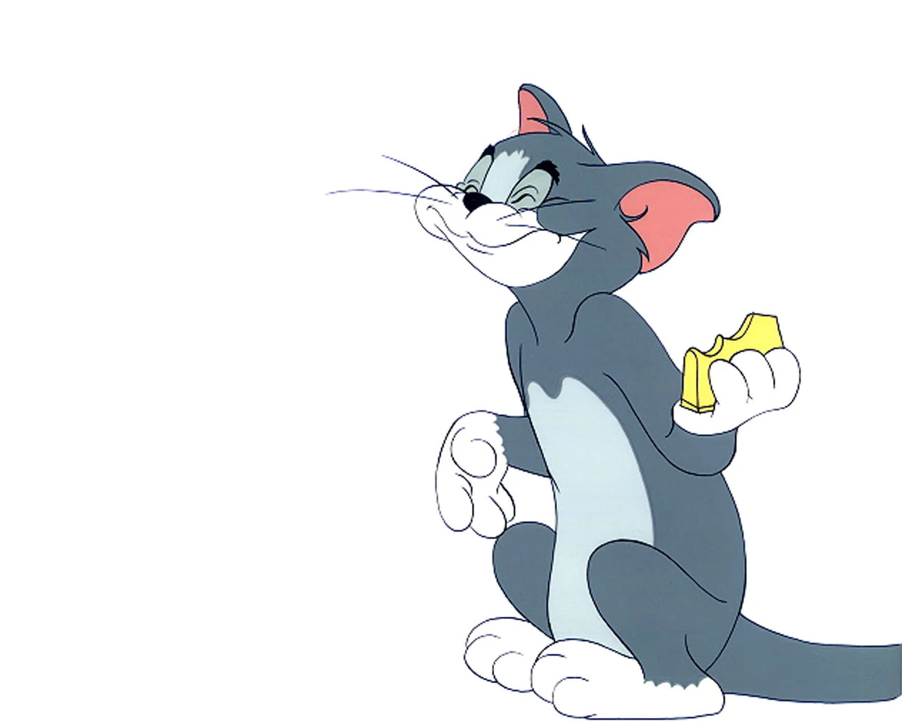 Imagen - Tom .jpg | Wiki Tom & Jerry | FANDOM powered by Wikia