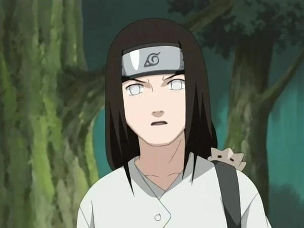 Image - Neji-Shippuden.jpg | Toonami Wiki | FANDOM powered by Wikia