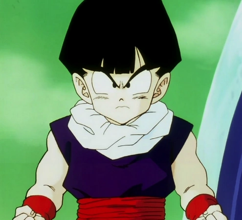 Image - Gohan (Namek).png | Toonami Wiki | FANDOM powered by Wikia