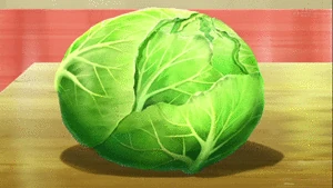 Image - Cabbage.gif | Toriko Wiki | FANDOM powered by Wikia