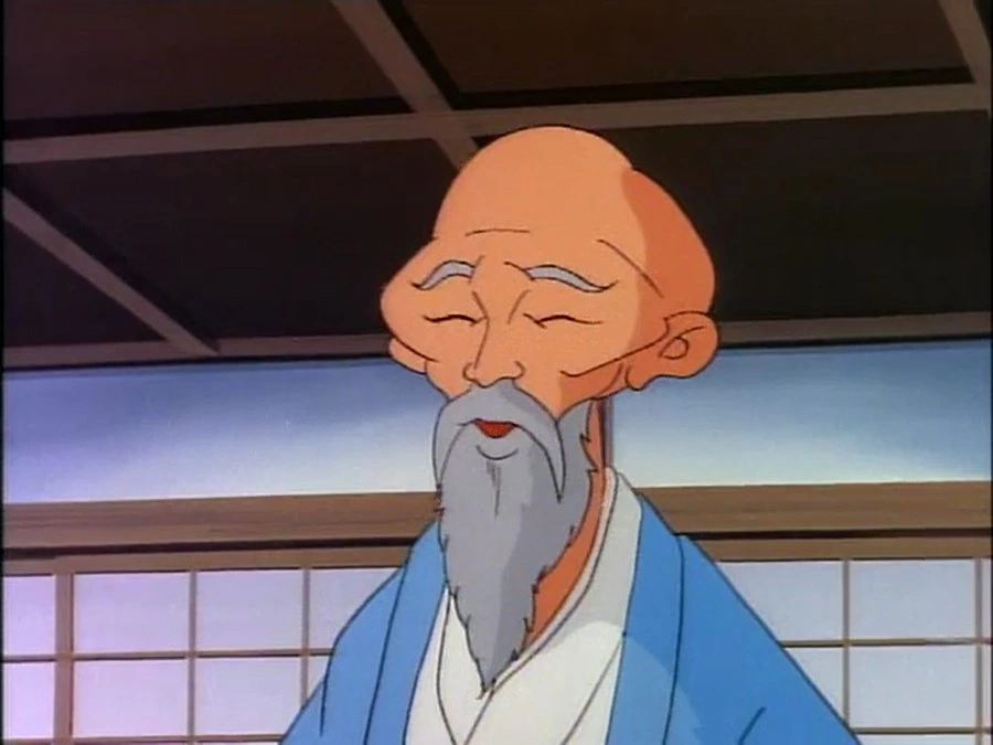 Sensei | Tortuga Ninja Wiki | Fandom