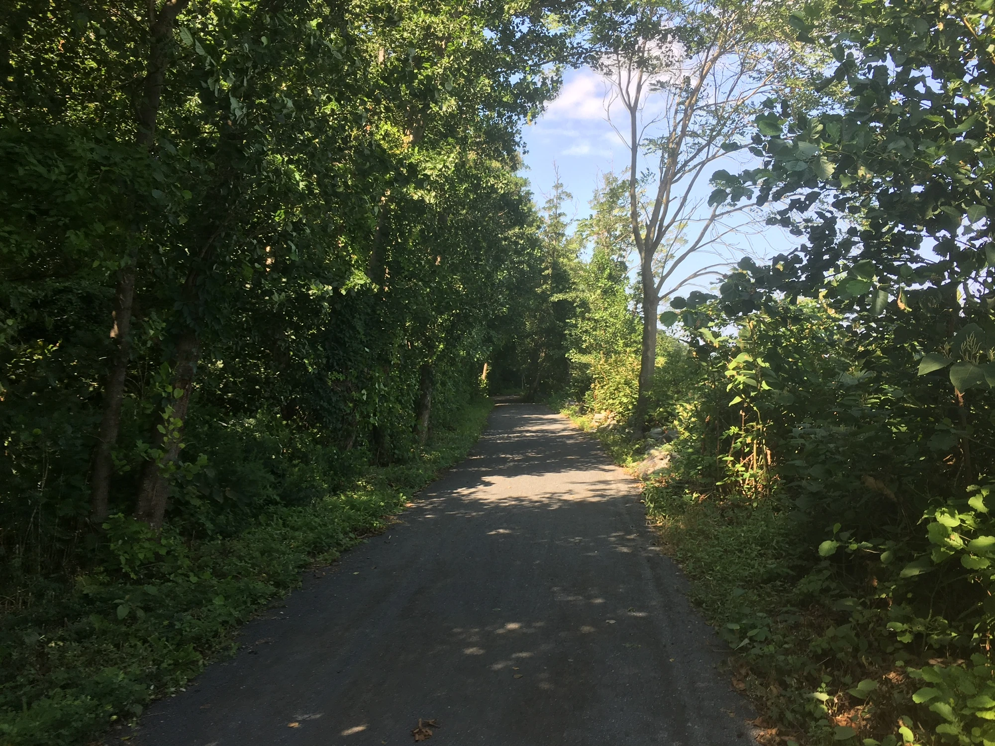 Henry Hudson Trail | Historica Wiki | Fandom