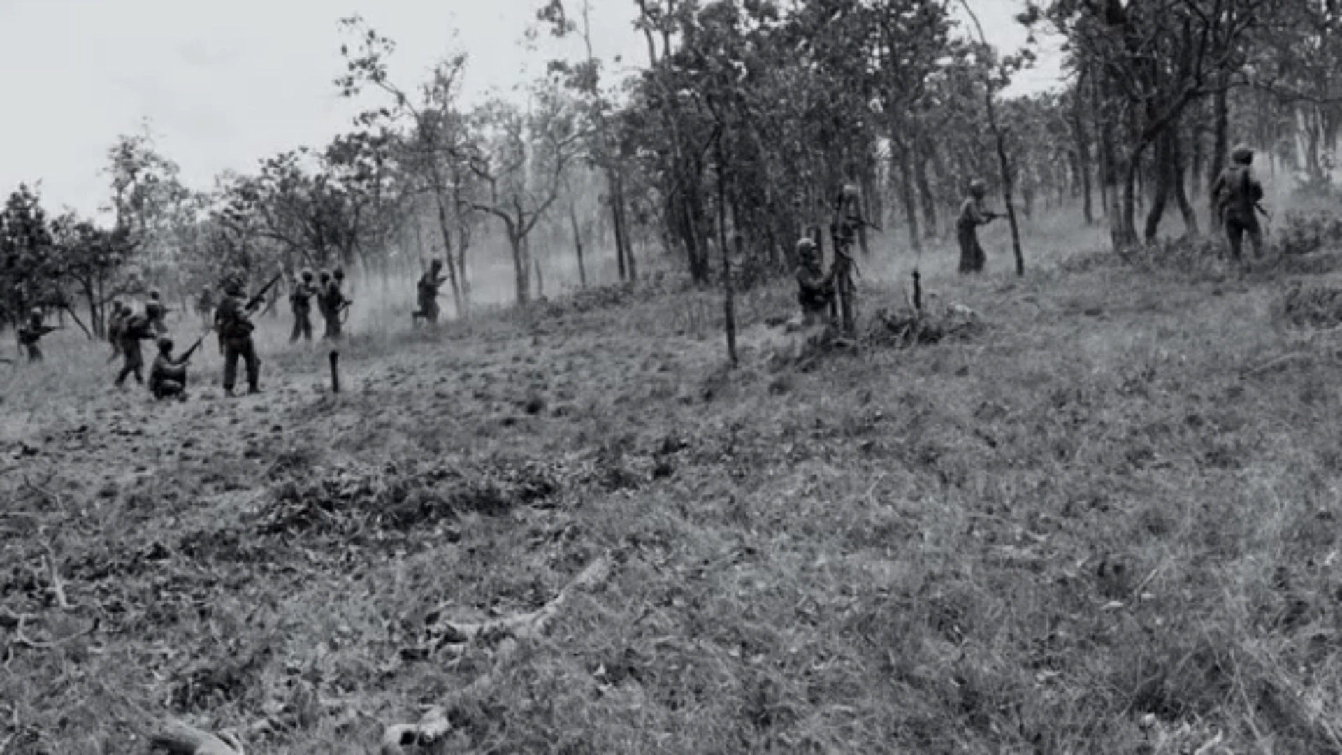 Battle of Ia Drang | Historica Wiki | Fandom