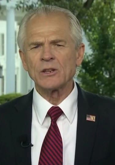Peter Navarro | Historica Wiki | Fandom