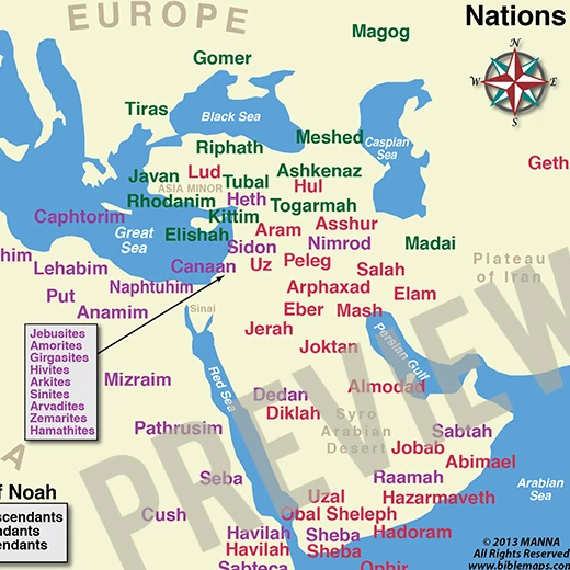 Sinites | Historica Wiki | Fandom