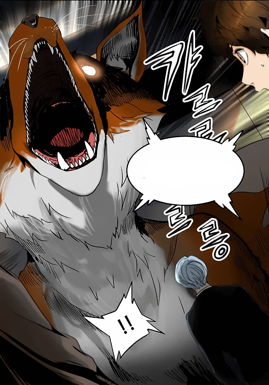 Shadow Fox | Tower of God Wiki | Fandom