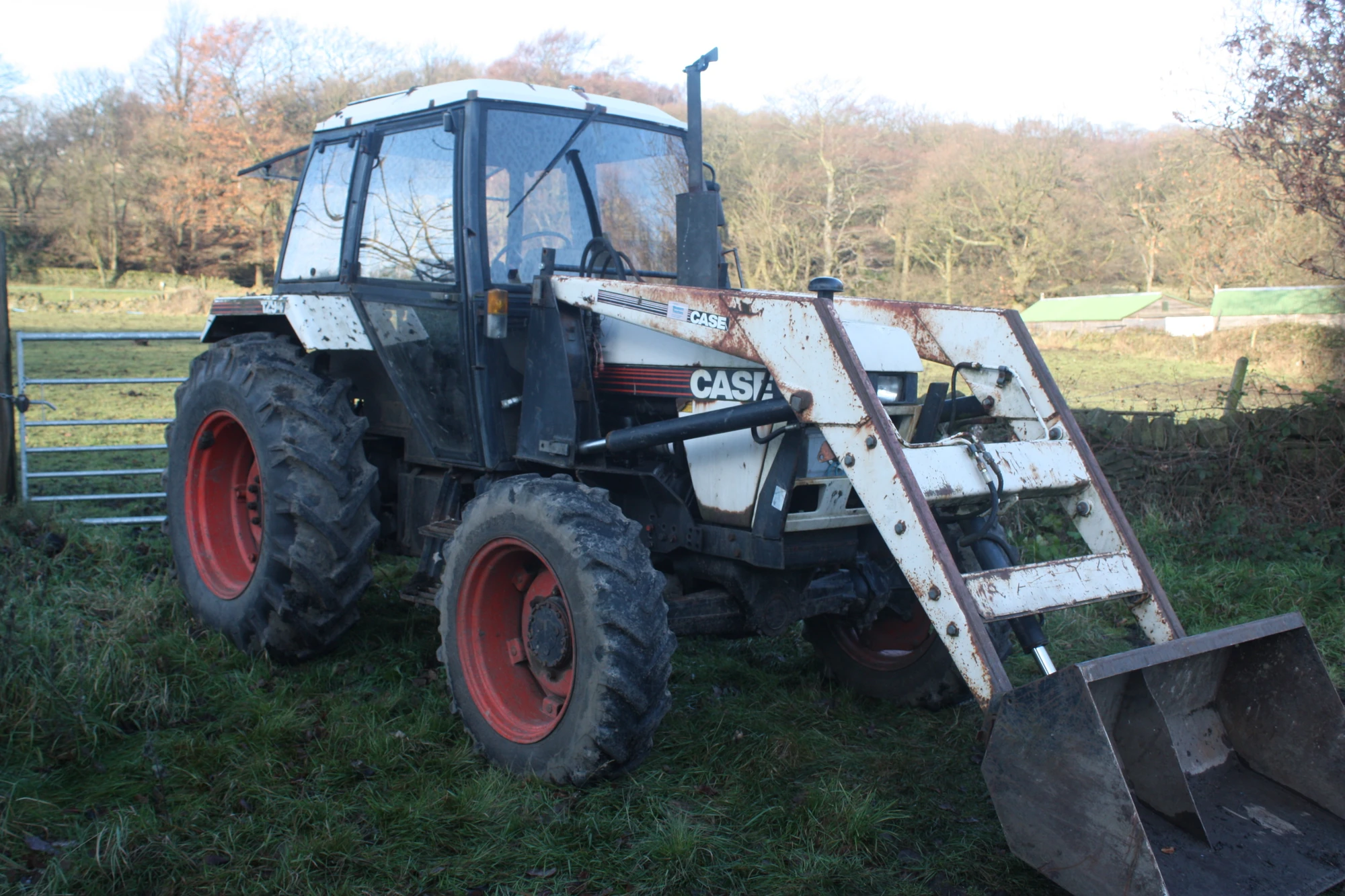 Image - Case 1294 at sale at DB Museum 08 IMG 3990.jpg | Tractor ...