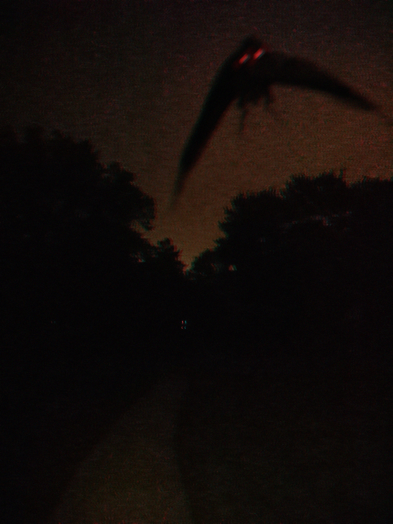 Mothman | Trevor Henderson Inspiration Wiki | Fandom