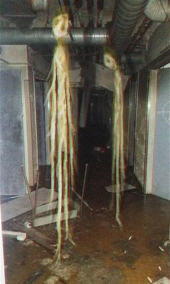 Root Figures | Trevor Henderson Inspiration Wiki | Fandom