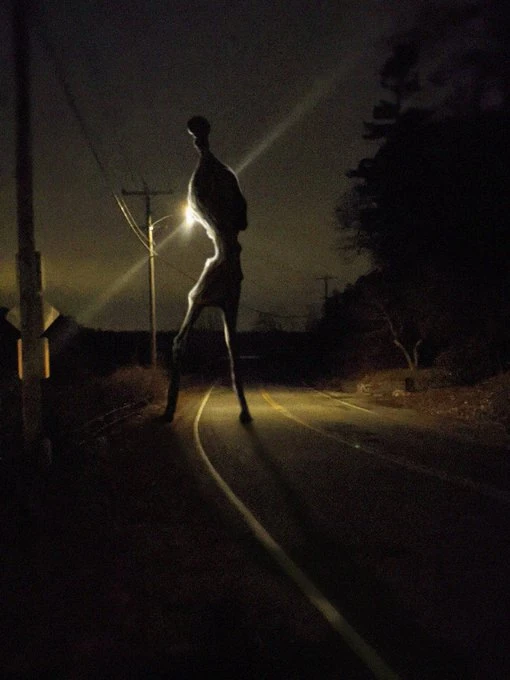 Armless creature | Trevor Henderson Inspiration Wiki | Fandom