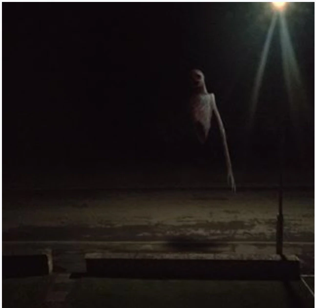 Very Scary Man Trevor Henderson Inspiration Wiki Fandom