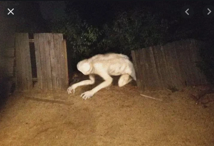 The Frog Creature | Trevor Henderson Inspiration Wiki | Fandom