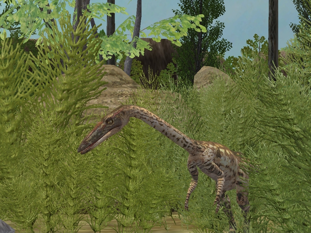 Coelophysis Manatees Wikia Fandom Powered By Wikia