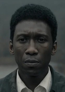 Wayne Hays | True Detective Wiki | Fandom