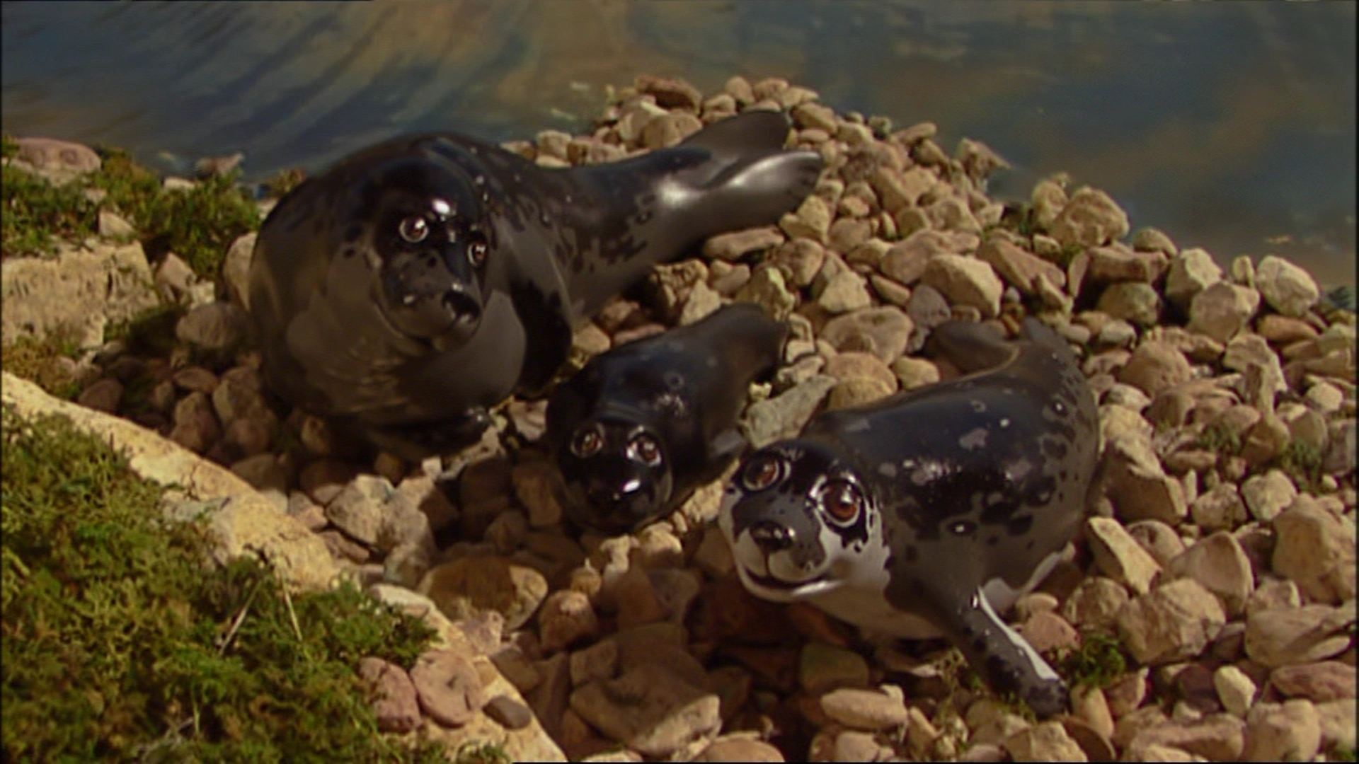 Image - Emily'sNewRoute81.png | Thomas the Tank Engine Wikia | FANDOM ...