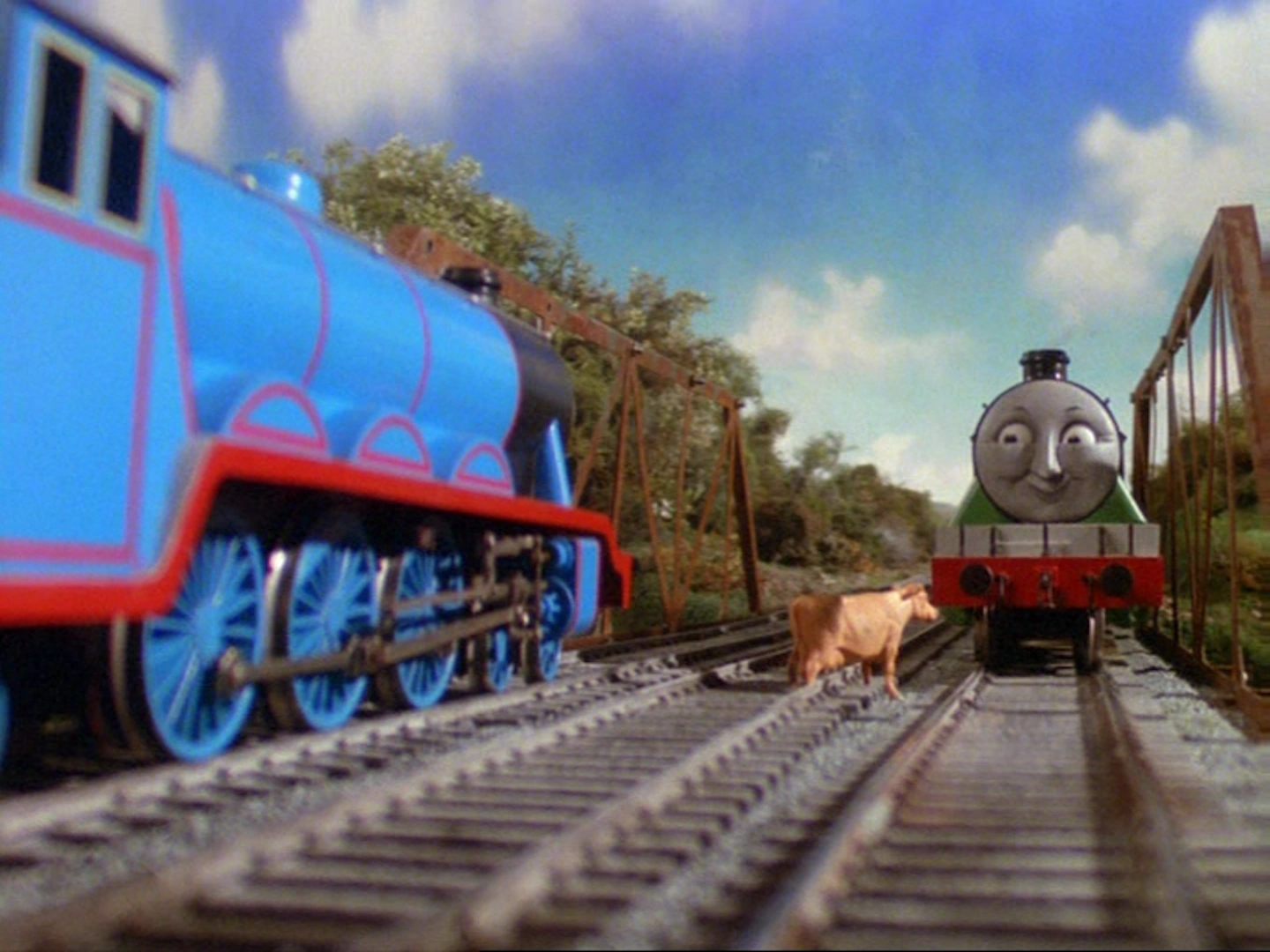 Cows | Thomas the Tank Engine Wikia | Fandom