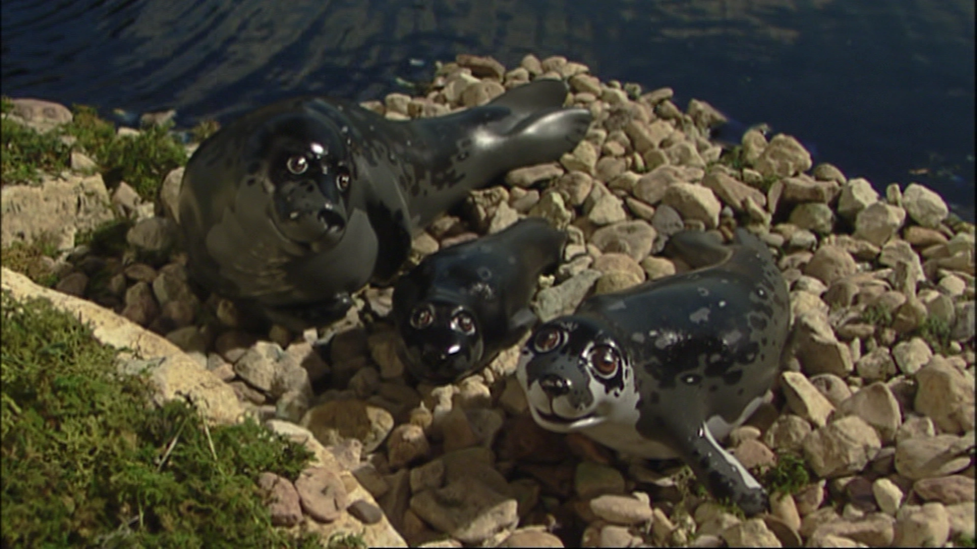 Image - Emily'sNewRoute74.png | Thomas the Tank Engine Wikia | FANDOM ...