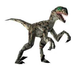 Raptor | Turok Wiki | FANDOM powered by Wikia