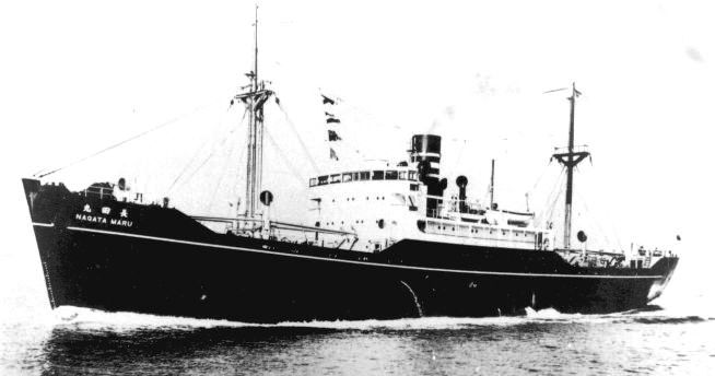Nagata Maru | Turtledove | FANDOM powered by Wikia Nagata Maru | Turtledove | FANDOM powered by Wikia