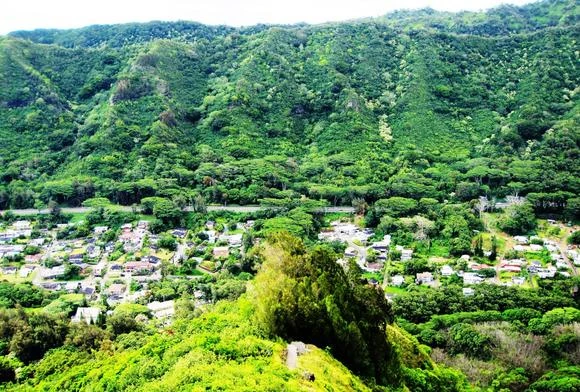 Kalihi Valley | Turtledove | Fandom