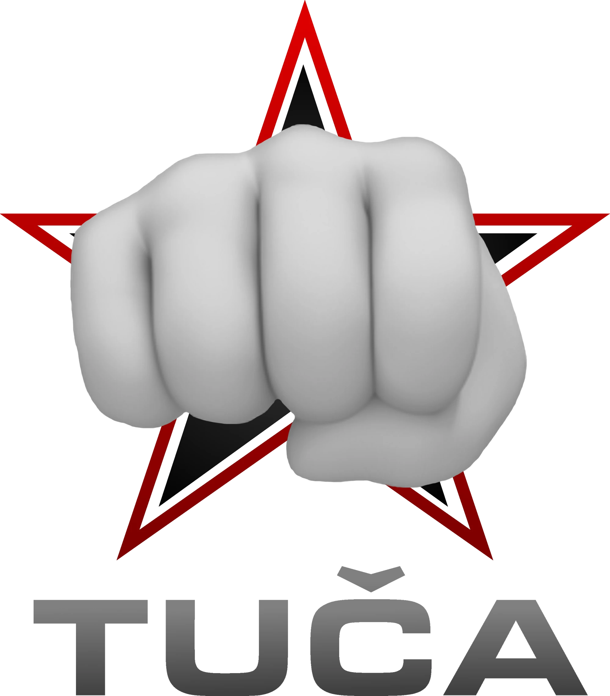 Liga Tuča | Mihsign Vision | Fandom