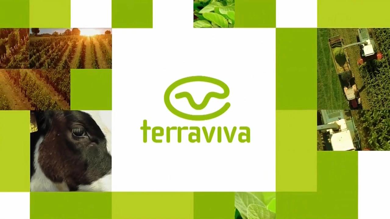 Terra Viva | Wiki TVPédia Brasil | Fandom