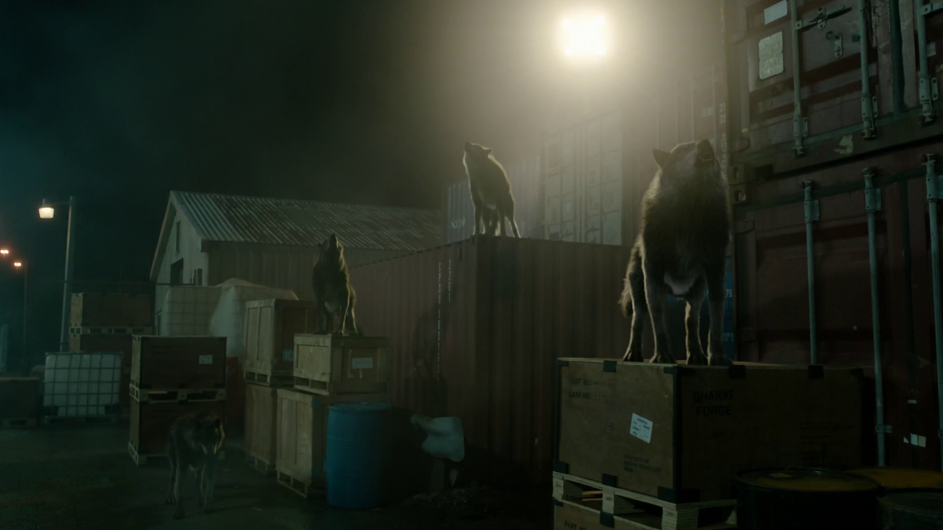Category:Werewolves | Shadowhunters on Freeform Wiki | FANDOM powered ... Category:Werewolves | Shadowhunters on Freeform Wiki | FANDOM powered ...