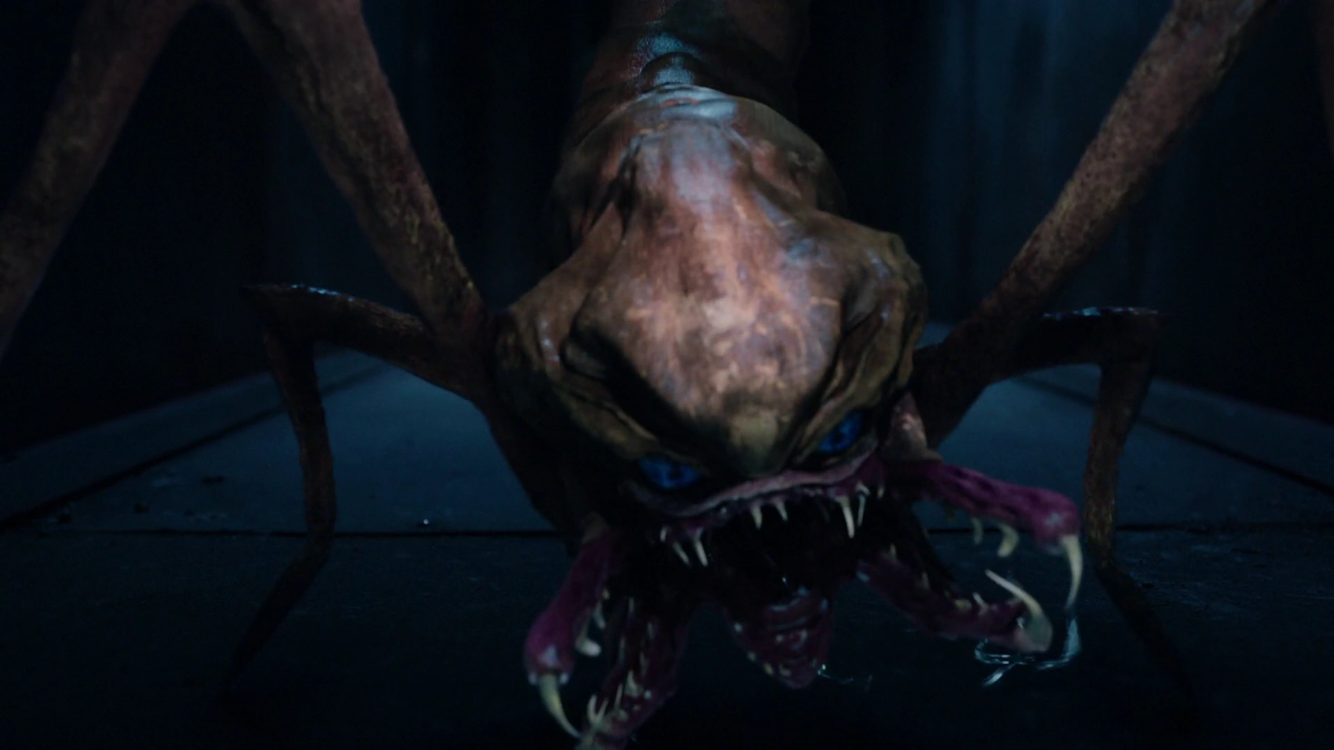 Shax | Shadowhunters on Freeform Wiki | Fandom