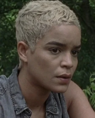 Arat | Wiki The Walking Dead | Fandom