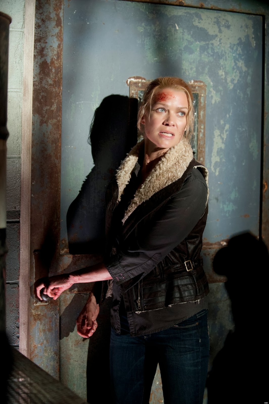 Imagem Andrea Twd S3 Vest Wiki The Walking Dead Fandom