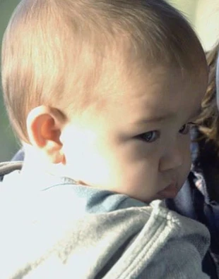 Hershel Rhee | Wiki The Walking Dead | Fandom