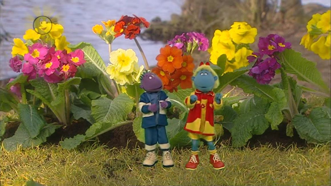 Flowers Tweenies Wiki Fandom