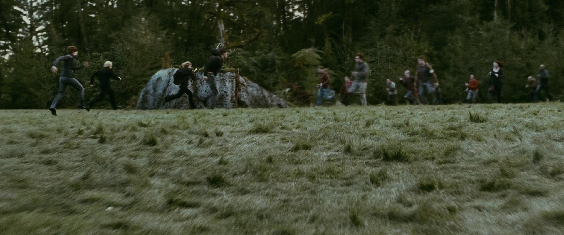 Newborn army battle | Twilight Saga Wiki | FANDOM powered by Wikia Newborn army battle | Twilight Saga Wiki | FANDOM powered by Wikia