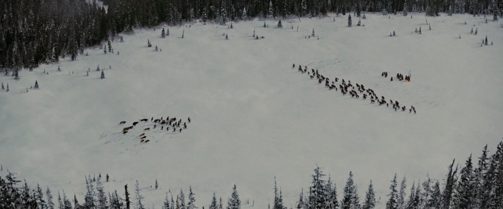 Confrontation des Volturi | Wiki Twilight | Fandom