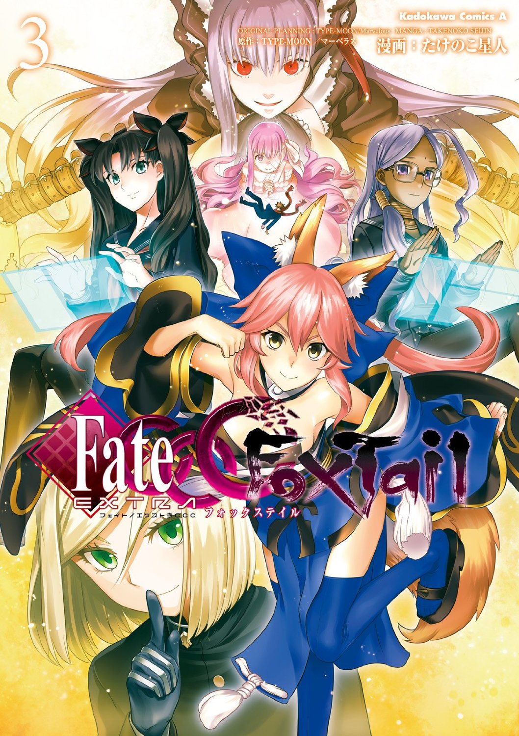 Image - Fate extra ccc FT tome 3.jpg | Wiki TYPE-MOON | FANDOM powered ...
