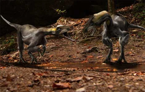 Coelurus | TyrannoPedia Wiki | Fandom