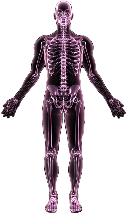 X-Ray | Ultimate Marvel Cinematic Universe Wikia | Fandom