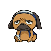 Pakkun