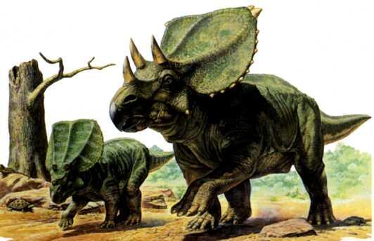Chasmosaurus | The Ultimate Dinosaur Wiki | FANDOM powered by Wikia Chasmosaurus | The Ultimate Dinosaur Wiki | FANDOM powered by Wikia