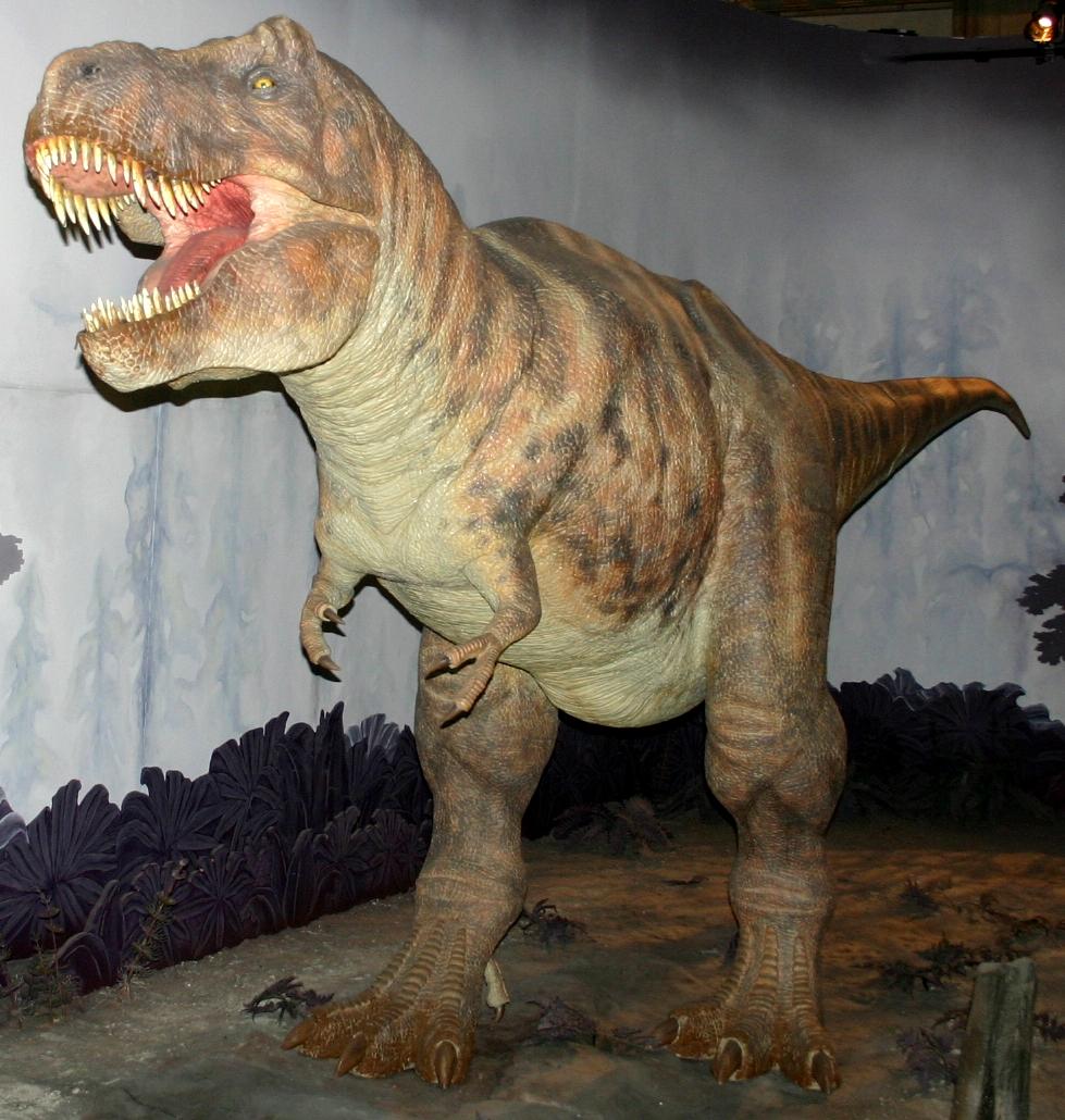 Tyrannosaurus Rex The Ultimate Dinosaur Wiki Fandom Powered By Wikia