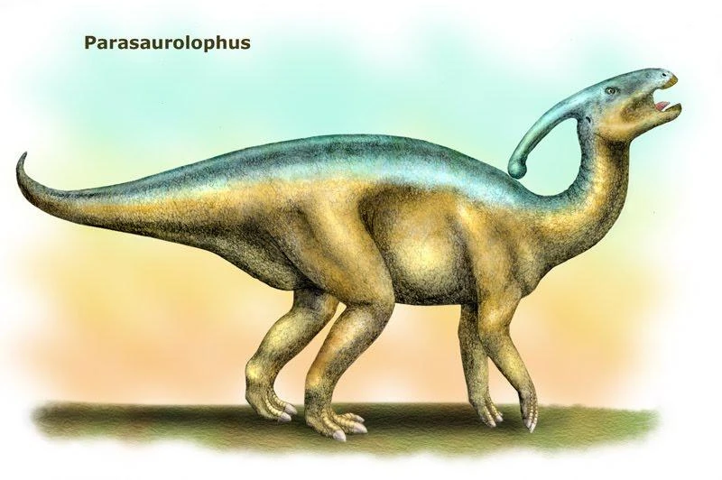 Parasaurolophus | The Ultimate Dinosaur Wiki | FANDOM powered by Wikia