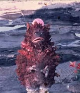 Pigmon | Ultraman Wiki | FANDOM powered by Wikia