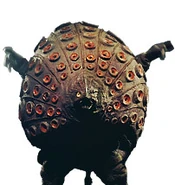 Takkong | Ultraman Wiki | Fandom