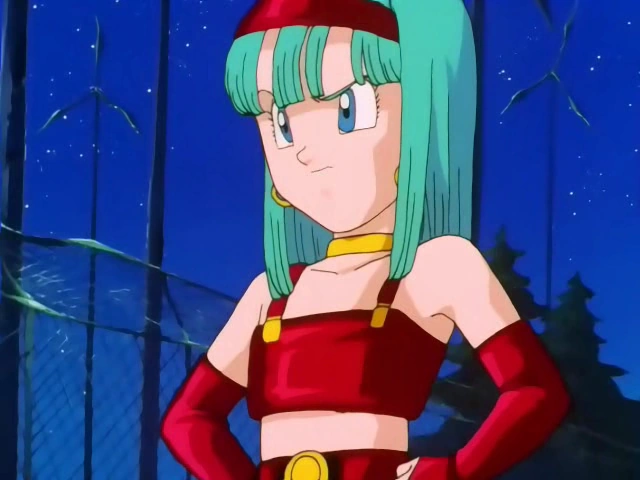 Bulla | Ultra Dragon Ball Wiki | FANDOM powered by Wikia